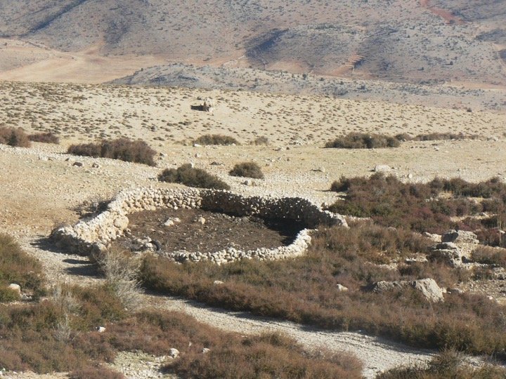 The wolves at the door, the thieves inside