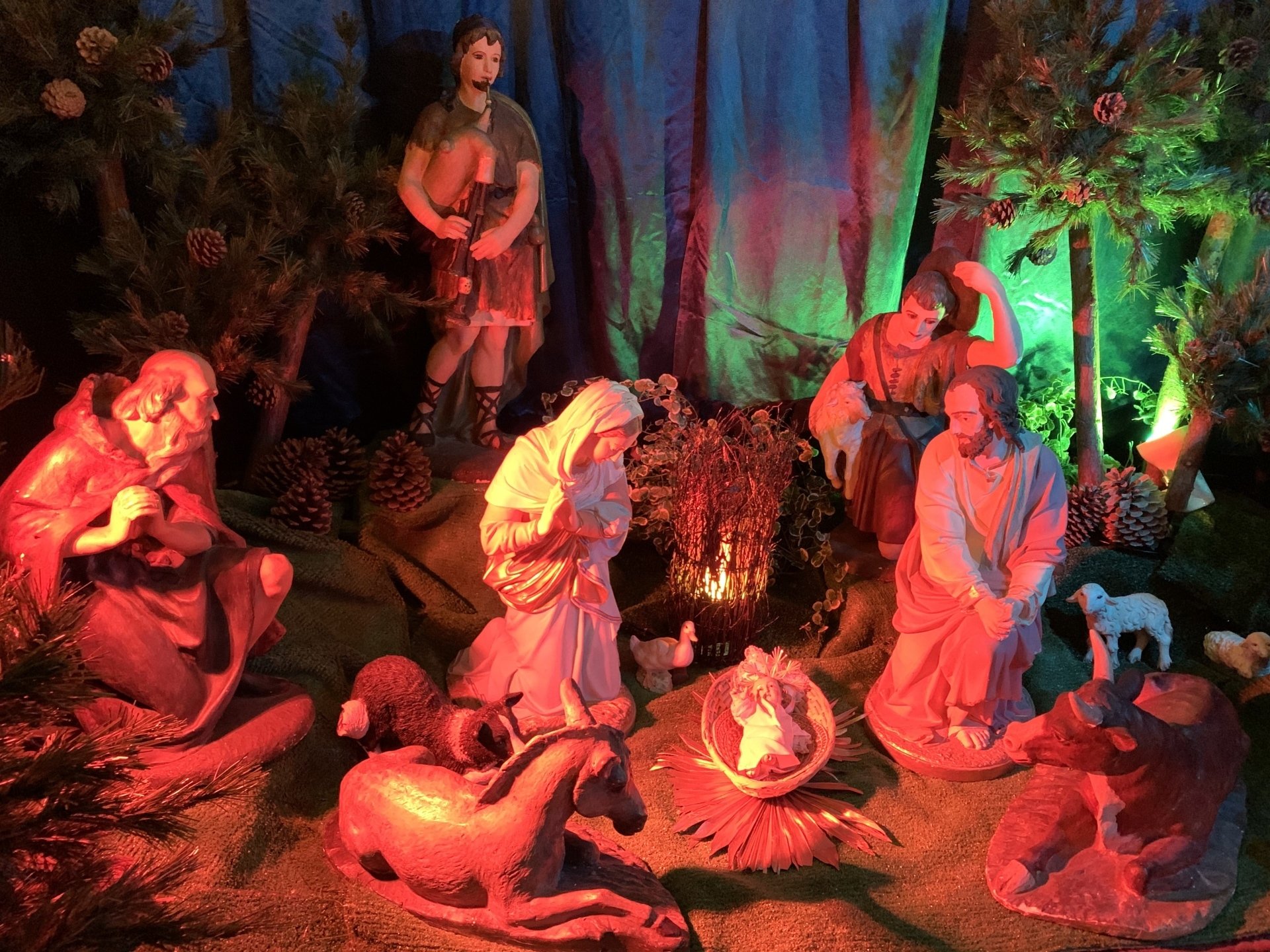 Christmas Homily- Mass During the Day