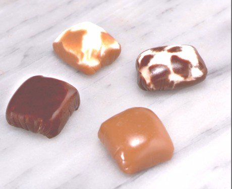 Wisconsin Dairyland Fudge