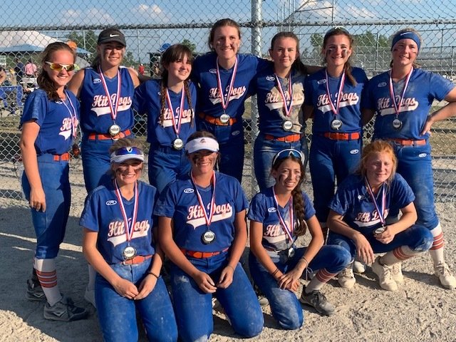 Team 14u - Motor City Hit Dogs Softball