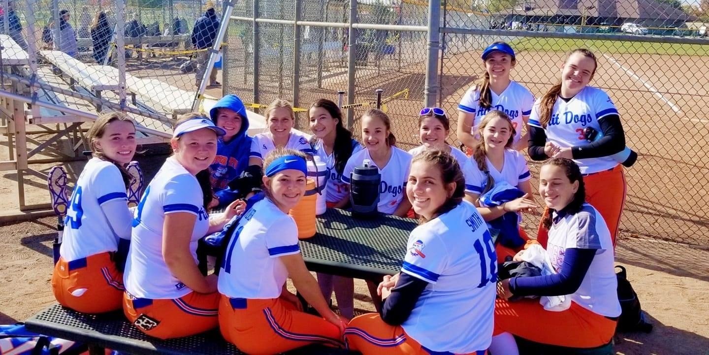 Team 14u - Motor City Hit Dogs Softball