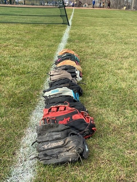 Motor City Hit Dogs Softball Academy