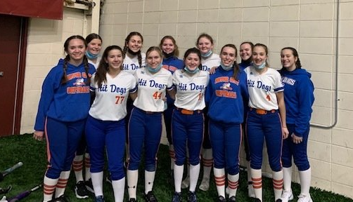 Team 14u - Motor City Hit Dogs Softball
