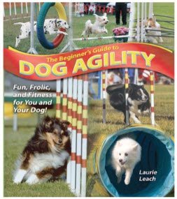 Adding Distance in Dog Agility Handing