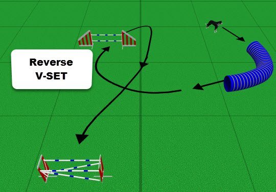 REVERSE V-SET in Dog Agility