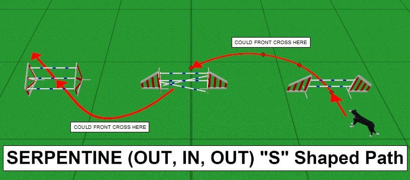 Serpentine Handling in Dog Agility Runs