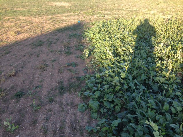 Soil Health Testing Brookside Laboratories Inc