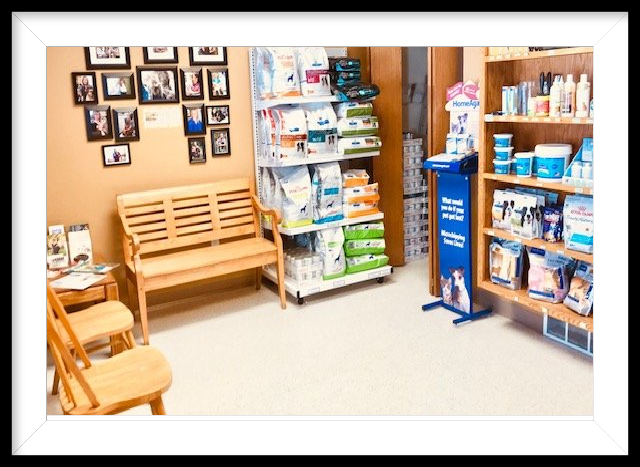 Oak View Veterinary Hospital, Green Bay, WI Veterinarian provides ...