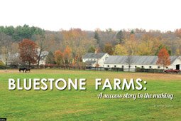 Bluestone Farm