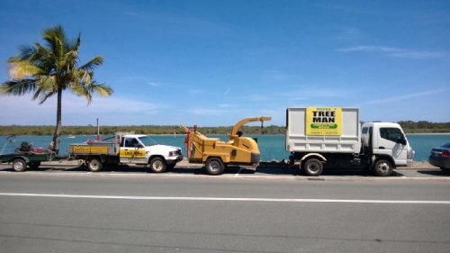 Tree Removal Images | Doonan, Queensland | Noosa Tree Man