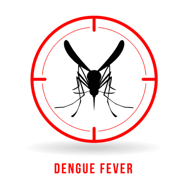 Dengue Fever: Causes, Symptoms and Treatments