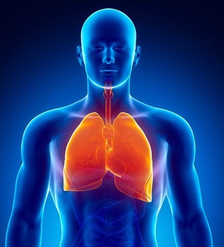 Pulmonology Department | Expert Respiratory Care at PACE Hospitals