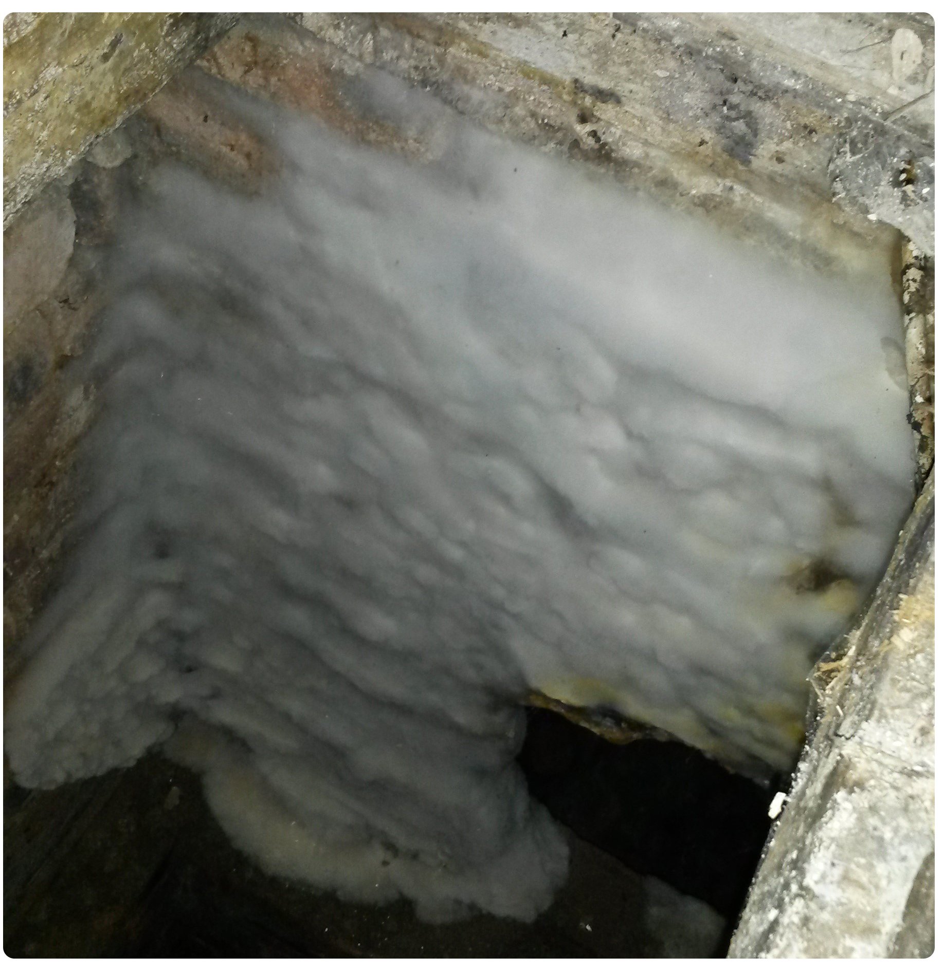 Dry Rot | Dry Rot Treatment | Dry Rot Causes