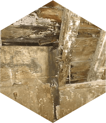 Wet Rot Treatment Specialists in Scotland | Richardson & Starling