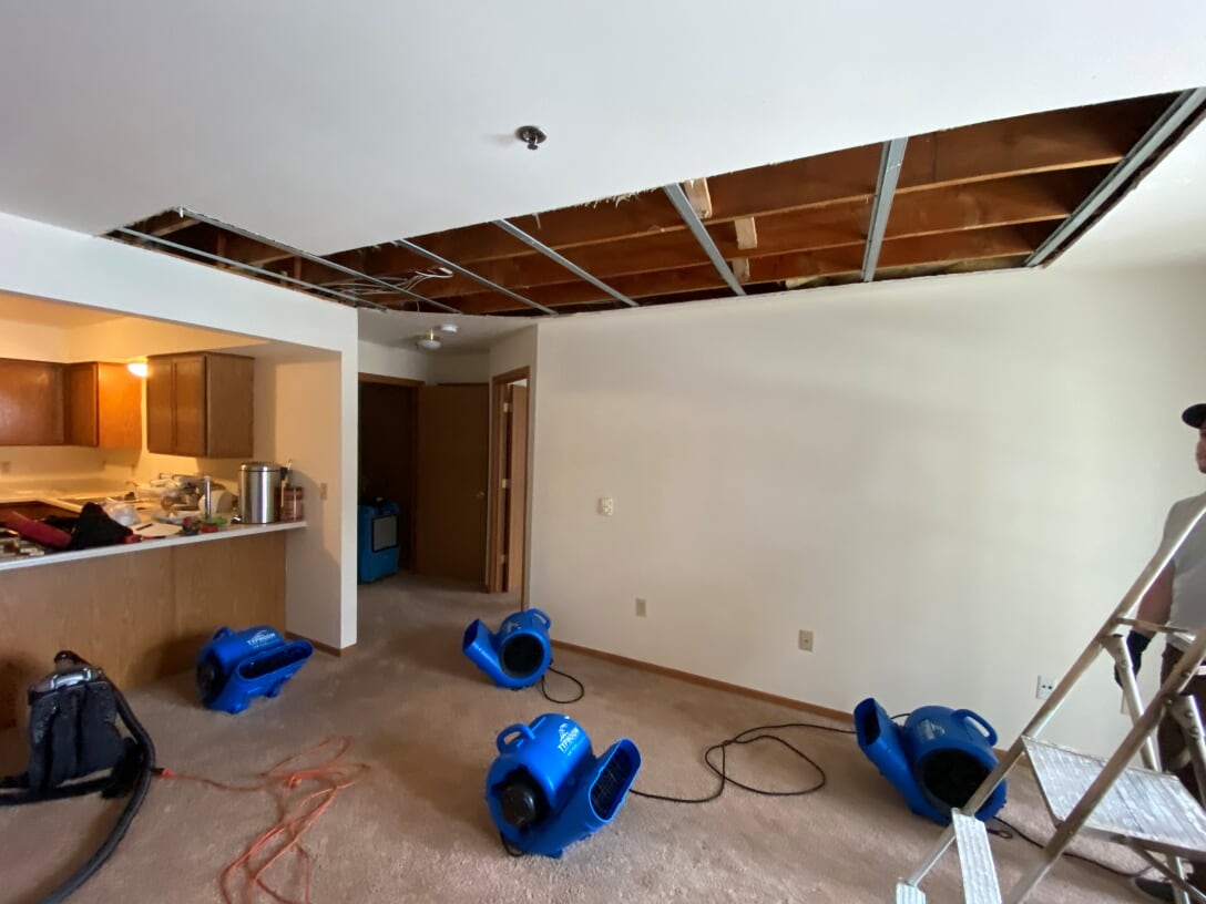 Minorik Mitigation | Mold and Water Damage | Milwaukee, WI
