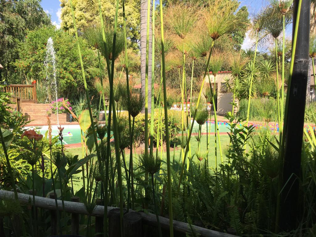 Rooms & Rates | Umthombo Guesthouse