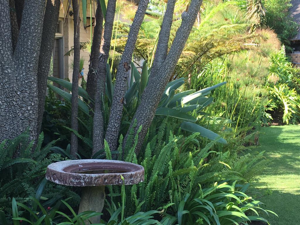 Rooms & Rates | Umthombo Guesthouse