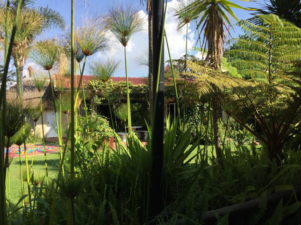 Rooms & Rates | Umthombo Guesthouse