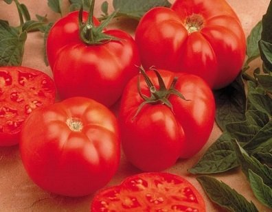 Beefmaster Tomato