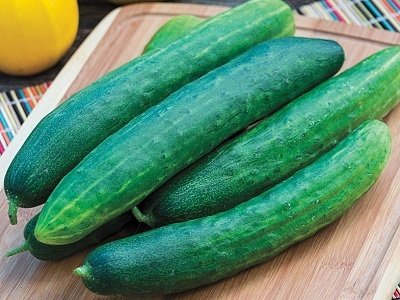 Vegetable Plants