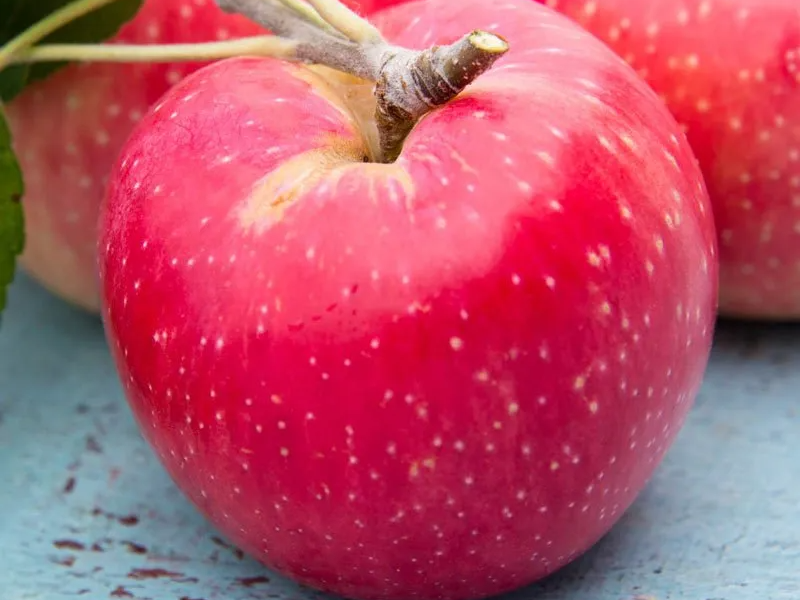 KinderKrisp Apple