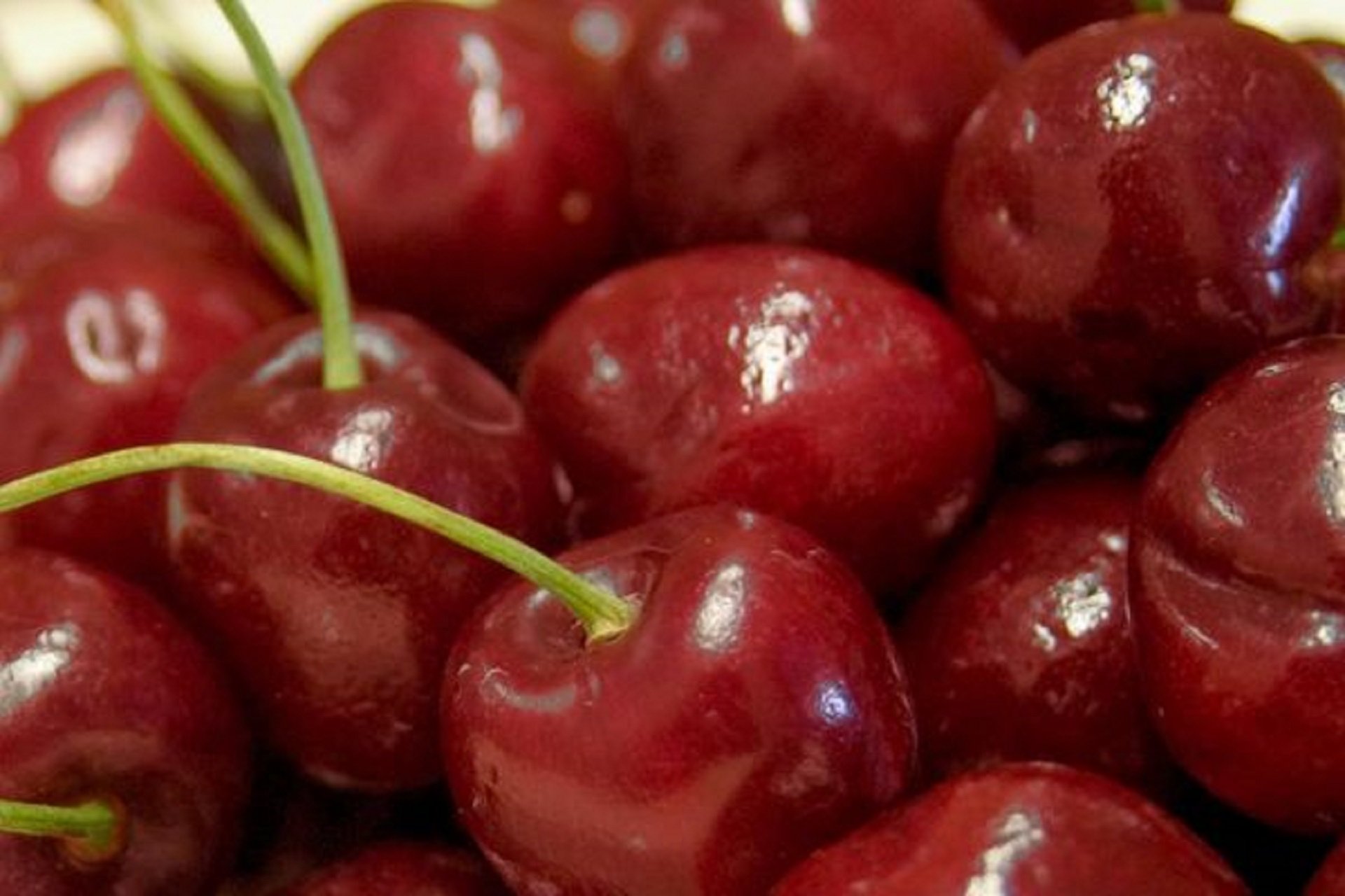 Montmorency Sour Cherry