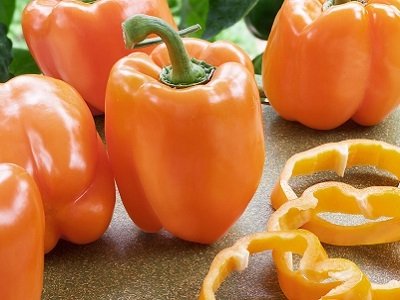 Vegetable Plants