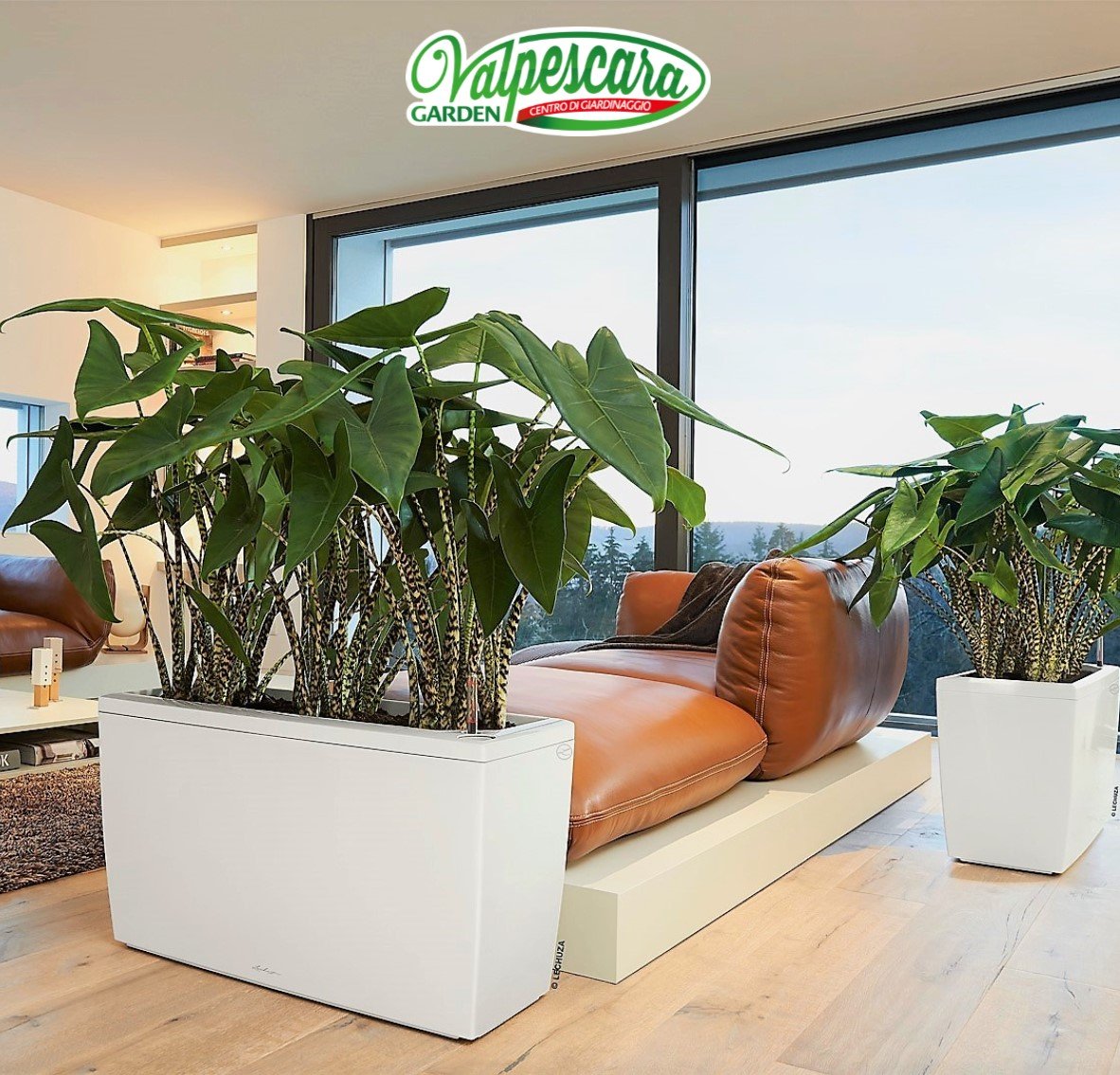 Vasi e fioriere | Pescara | Vivaio Valpescara Garden