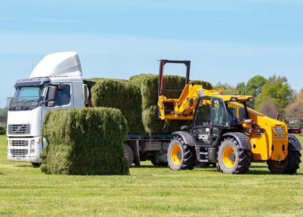 Crane Rentals In Taree | Taree Crane Service