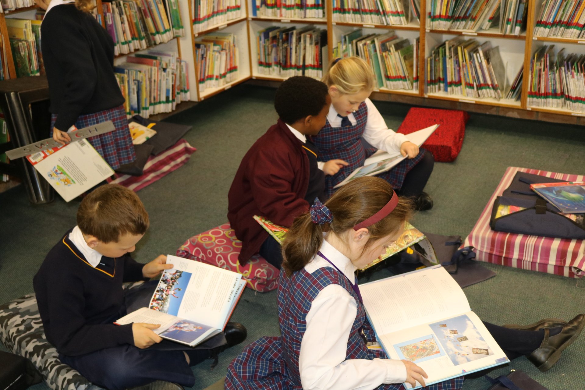 Primary School In Randburg | Randpark Ridge Primary School
