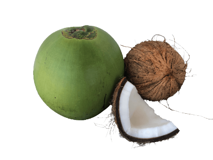 Home [fazendabomsossego.com.br]