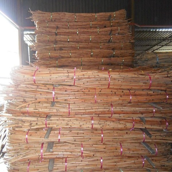 Rattan Materials Used | Rinaat Cane Malaysia