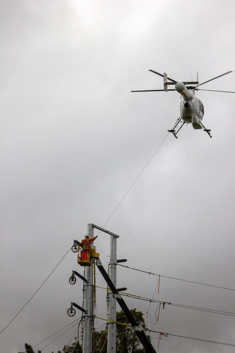 Heliventures power line stringing in Keri Keri