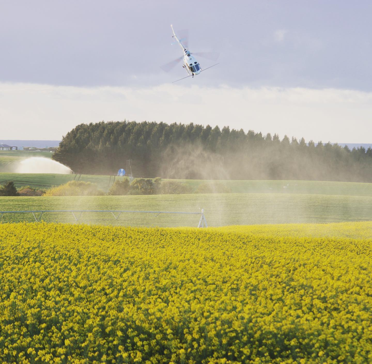 Agricultural Aviation is us and we love it!