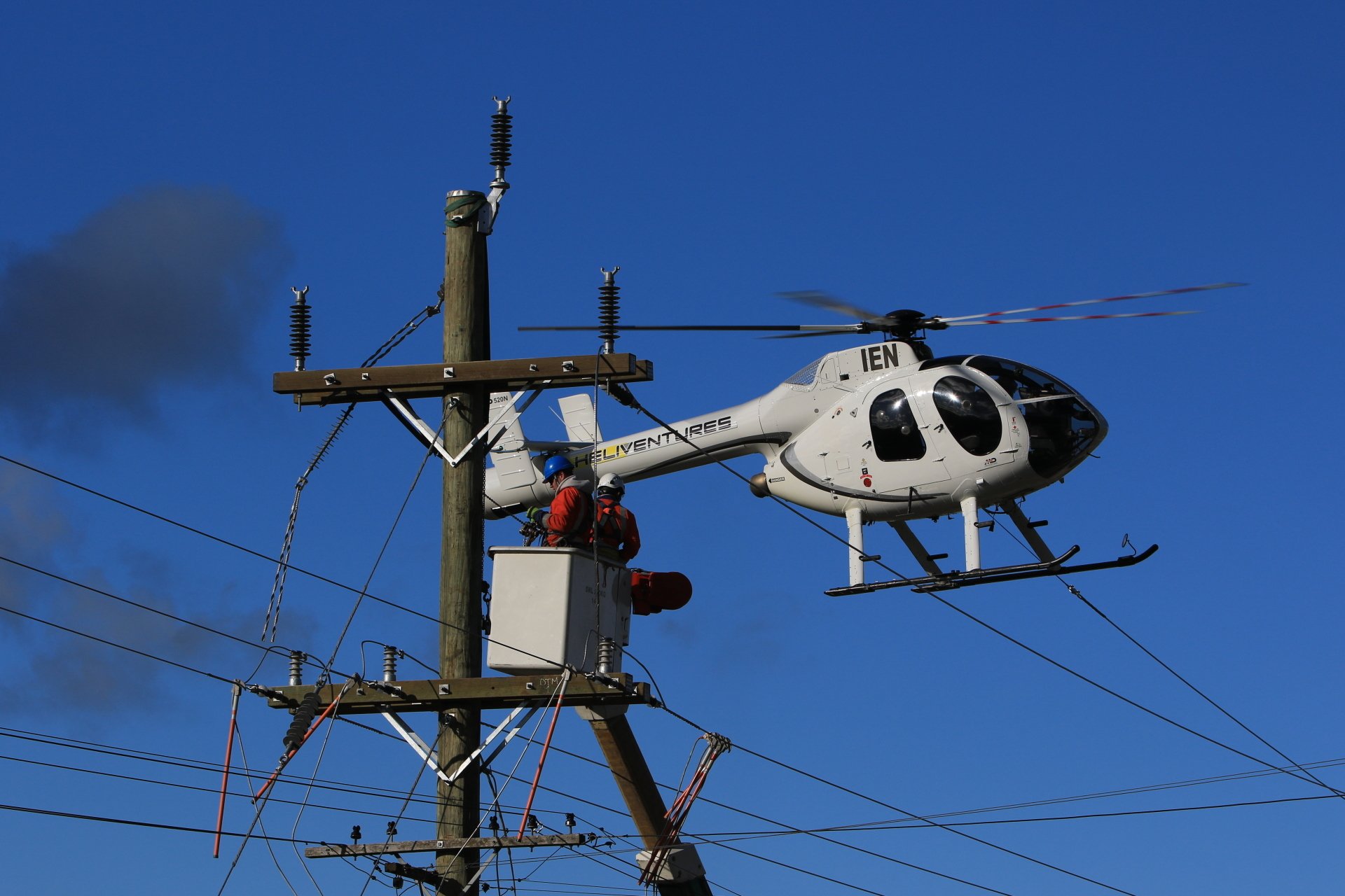 Heliventures⼁Wildling Pine Control⼁ Heli-services ⼁Otago⼁Southland