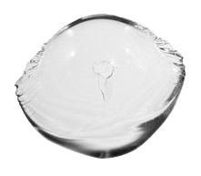 Windshield Chip Repair Training | Ultra Bond