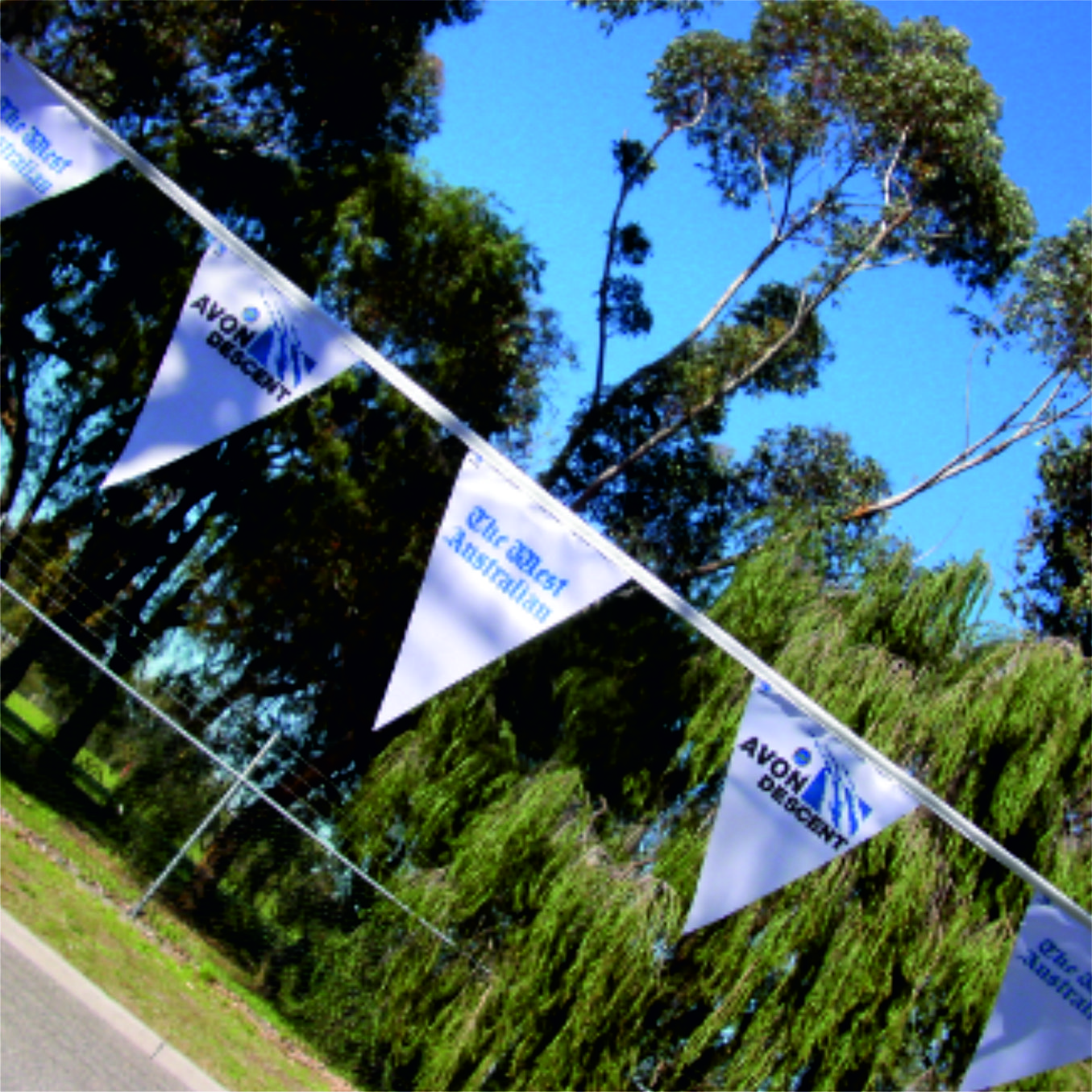 Bunting Flags