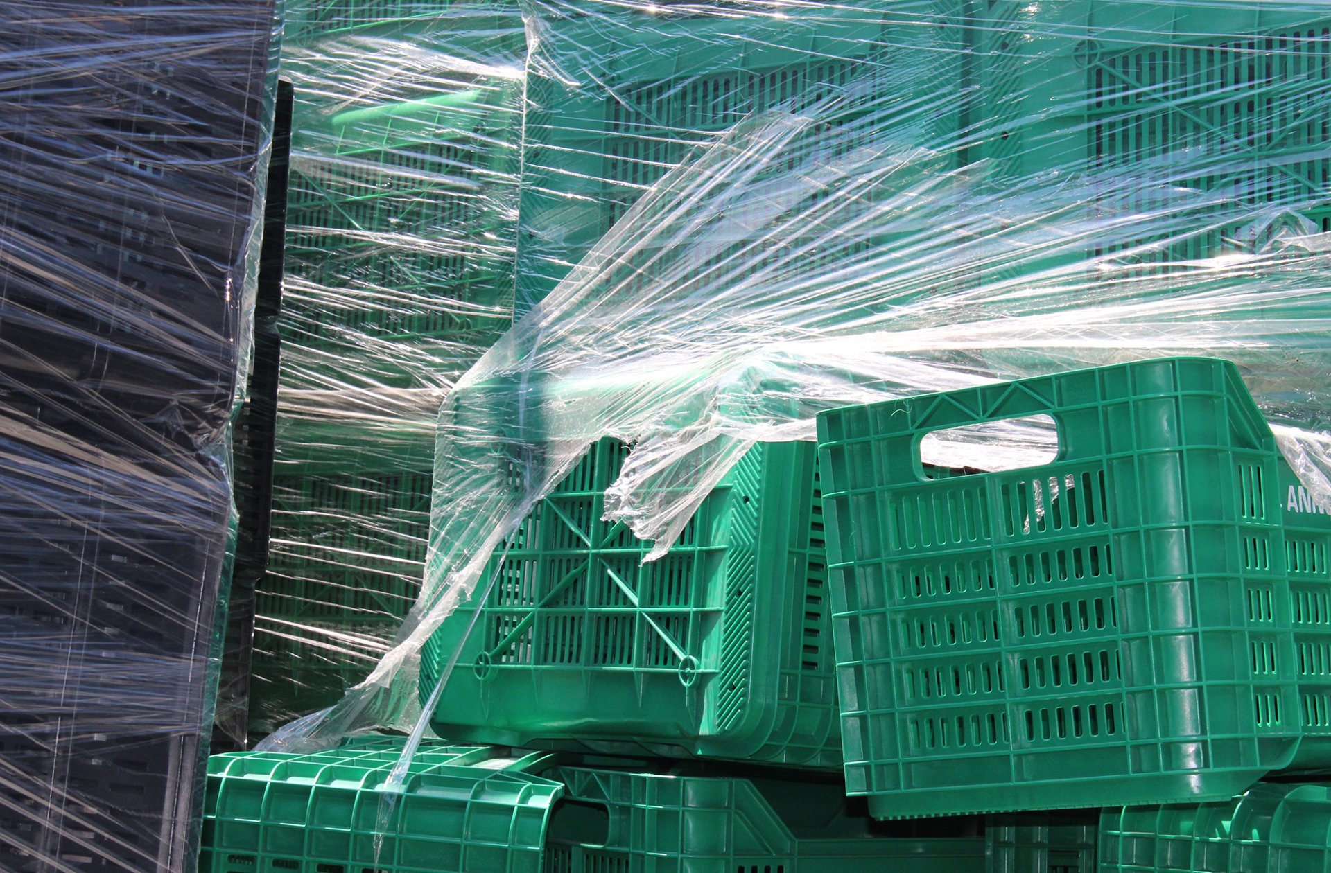 Produzione contenitori in plastica | Pagani, SA | DF3