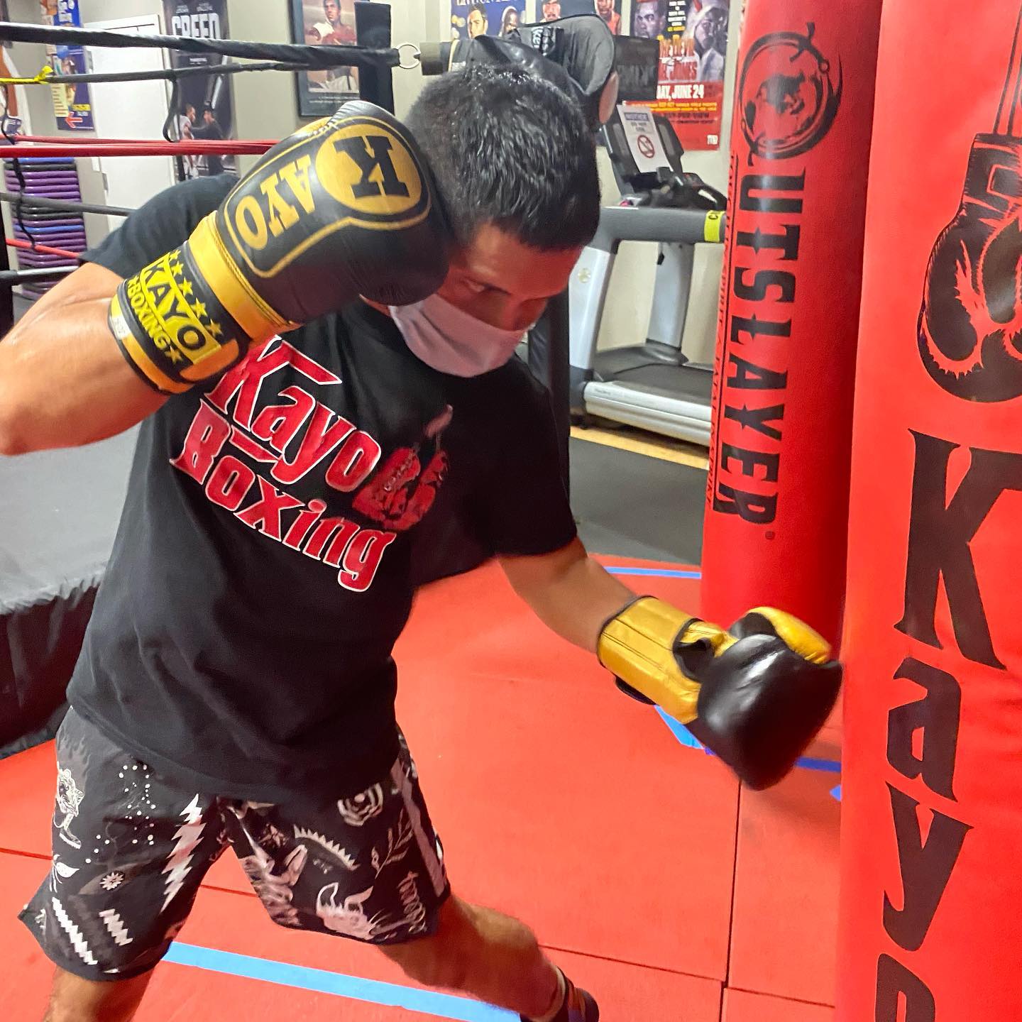 Home [www.kayoboxing.com]