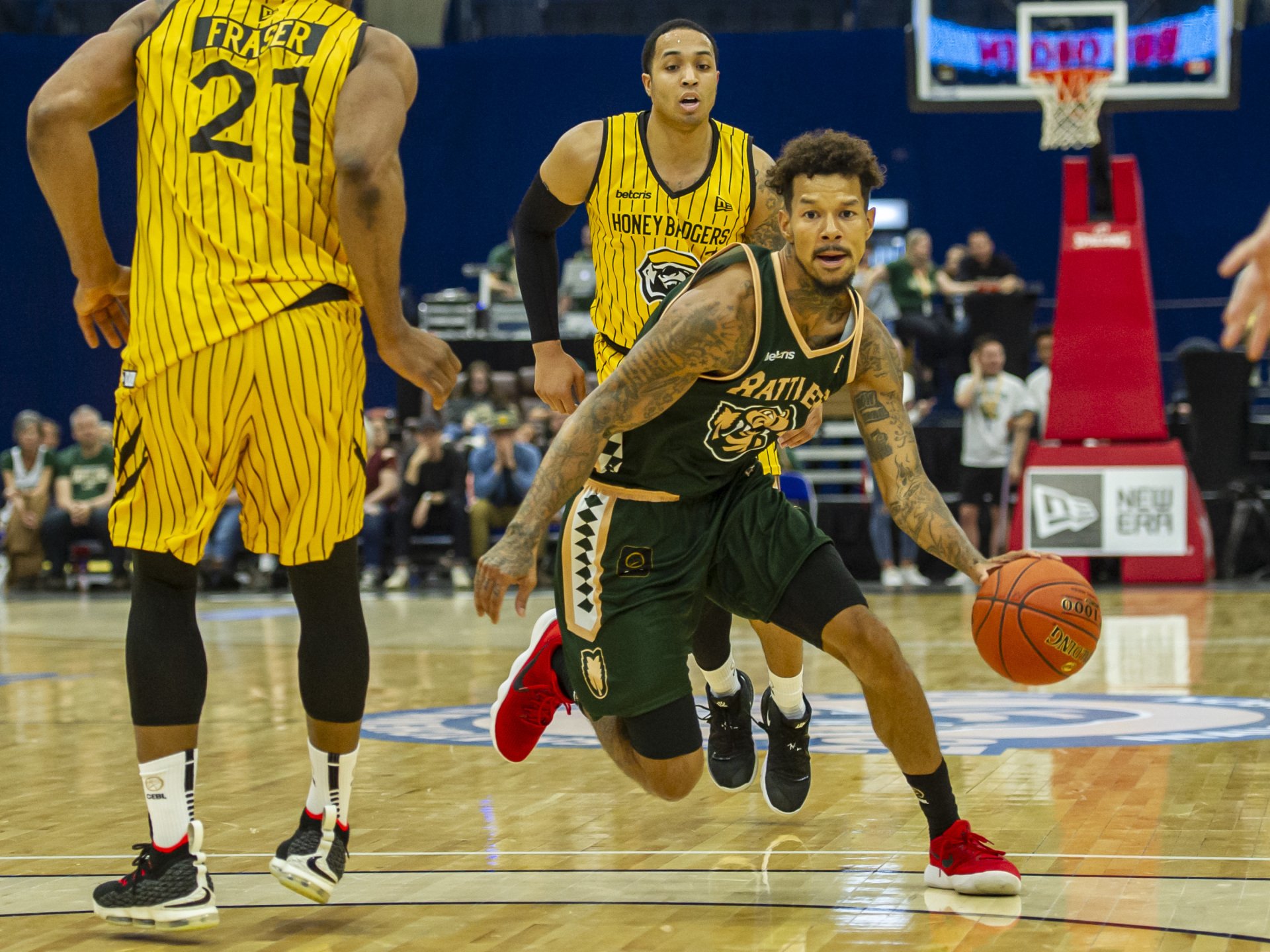 The Rattlers Professional Basketball Team