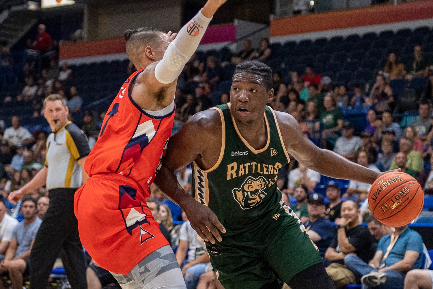 The Rattlers Professional Basketball Team