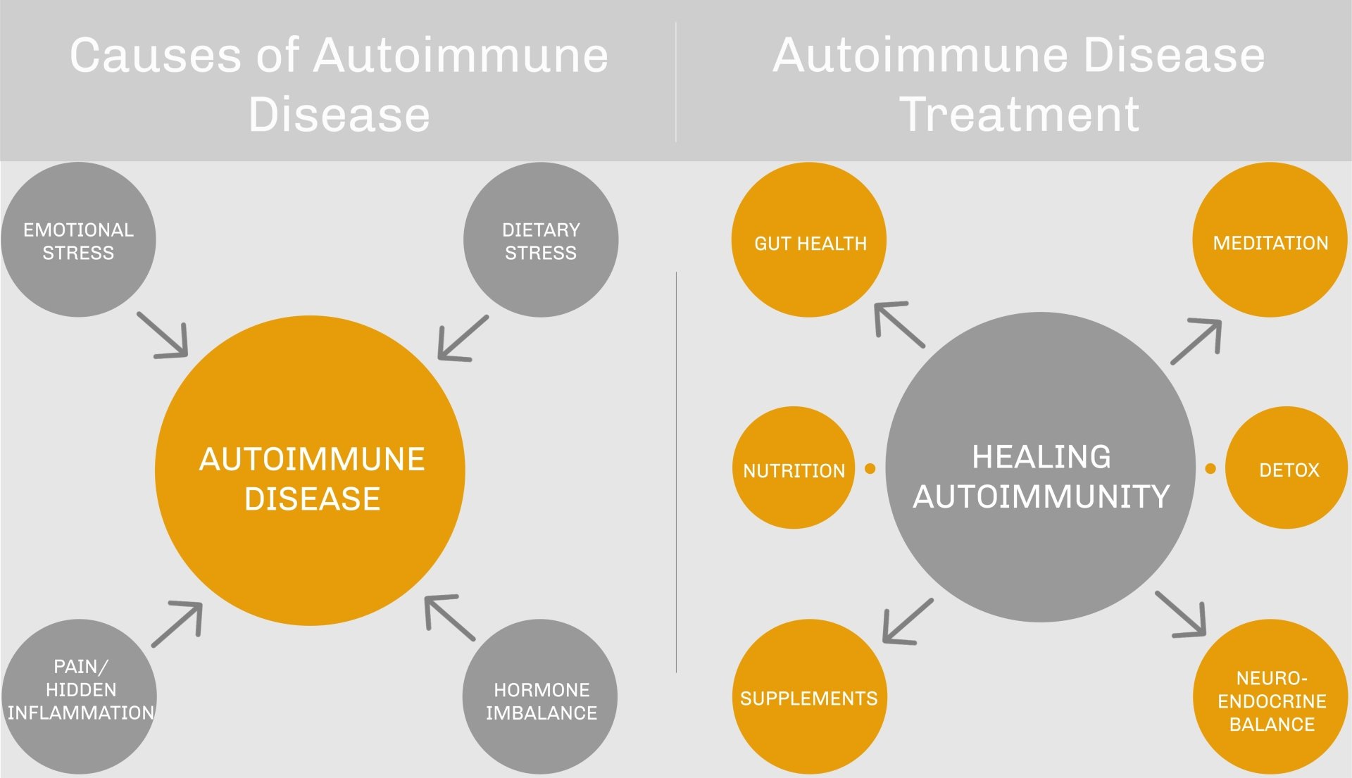 Autoimmune Disease | Heidi Toy Functional Medicine