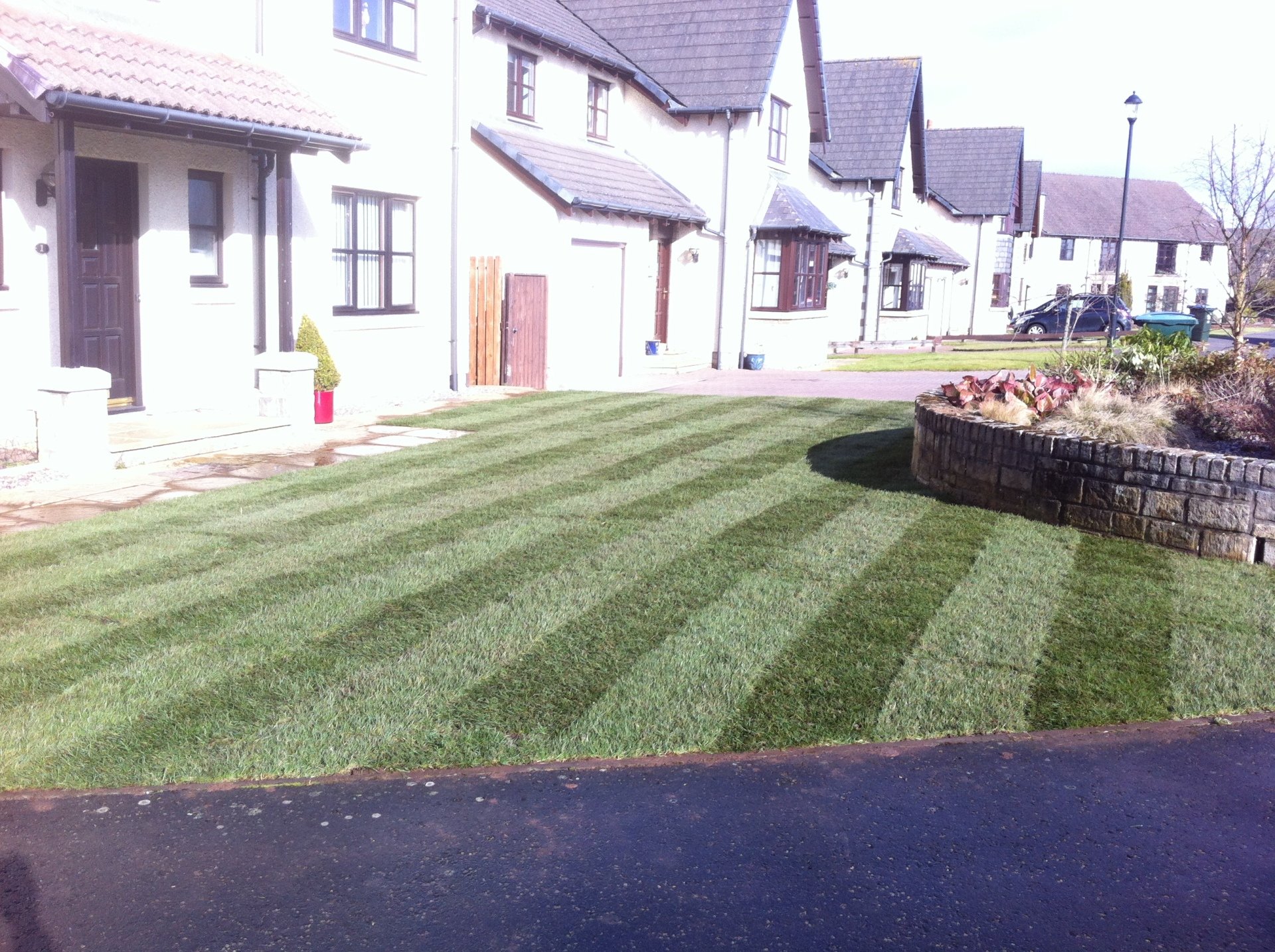 Turf laying | Carlogie Turf