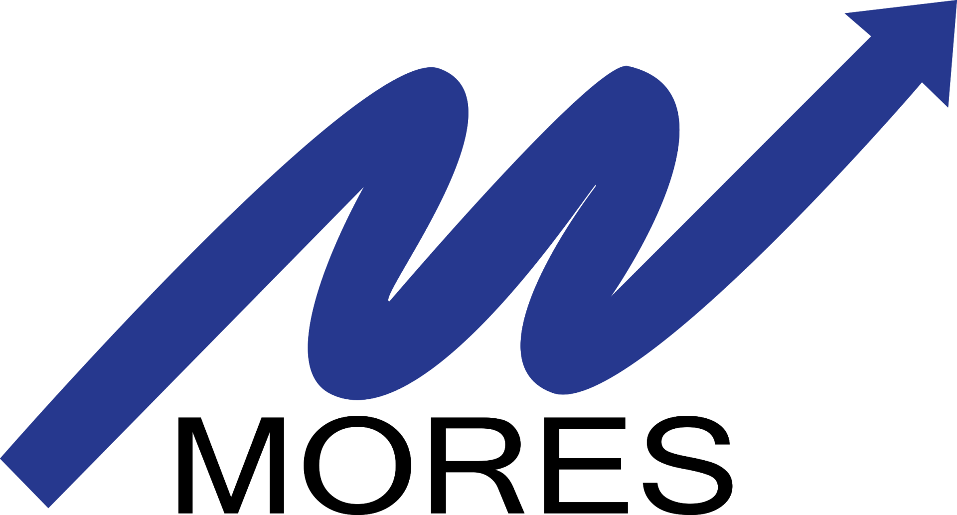 MORES | Marketing and Opinion Research Society of the Philippines
