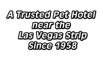 Local Pet Boarding | Las Vegas, NV | The Animal Inn