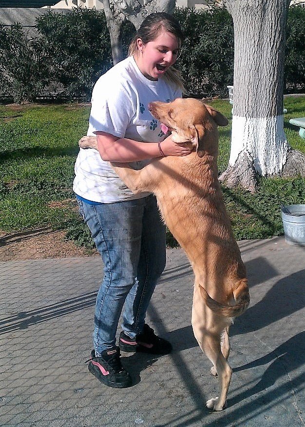 Local Pet Hotel | Las Vegas Strip, NV | The Animal Inn