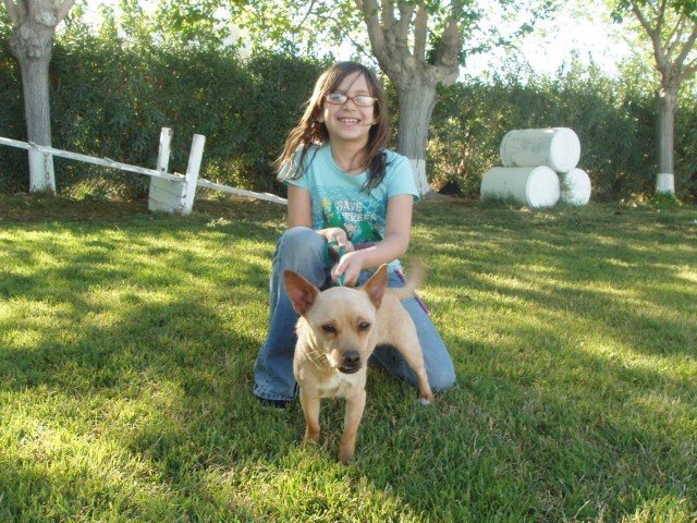 Local Pet Boarding | Las Vegas, NV | The Animal Inn