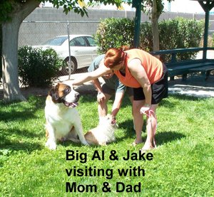 Local Pet Boarding | Las Vegas, NV | The Animal Inn