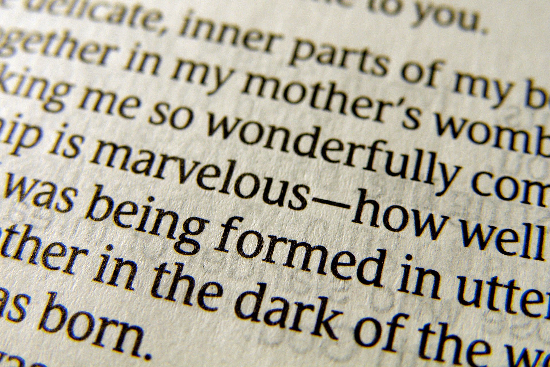 Lucerna Custom Font Design for New Living Translation Holy Bible