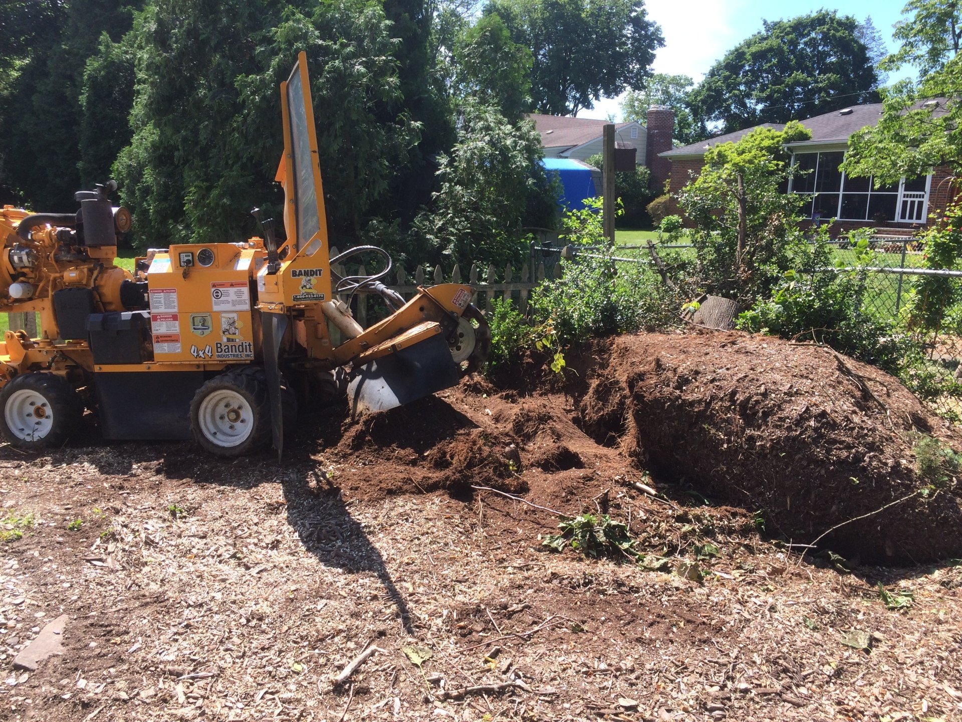 RJS Tree Service | Landscaping | Stump Grinding | Firewood Delivery